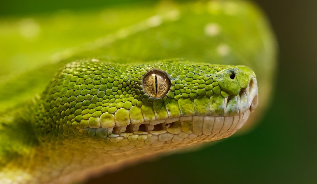 API Rate Limiting Patterns Using Redis Sliding Windows - WP Htaccess Editor