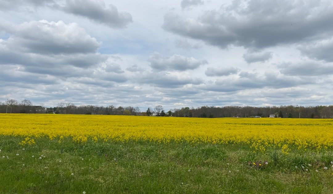 What Does “Accepting Backups” Mean on Zillow? - WP Htaccess Editor