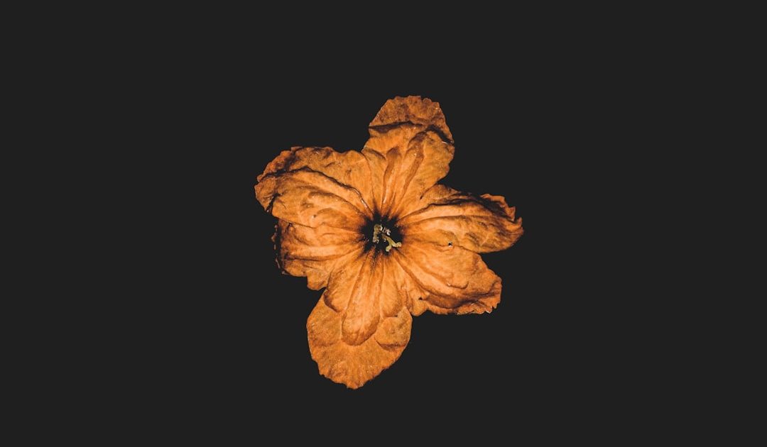 12 Logo Ideas for Medical Spas and Aesthetic Clinics - WP Htaccess Editor